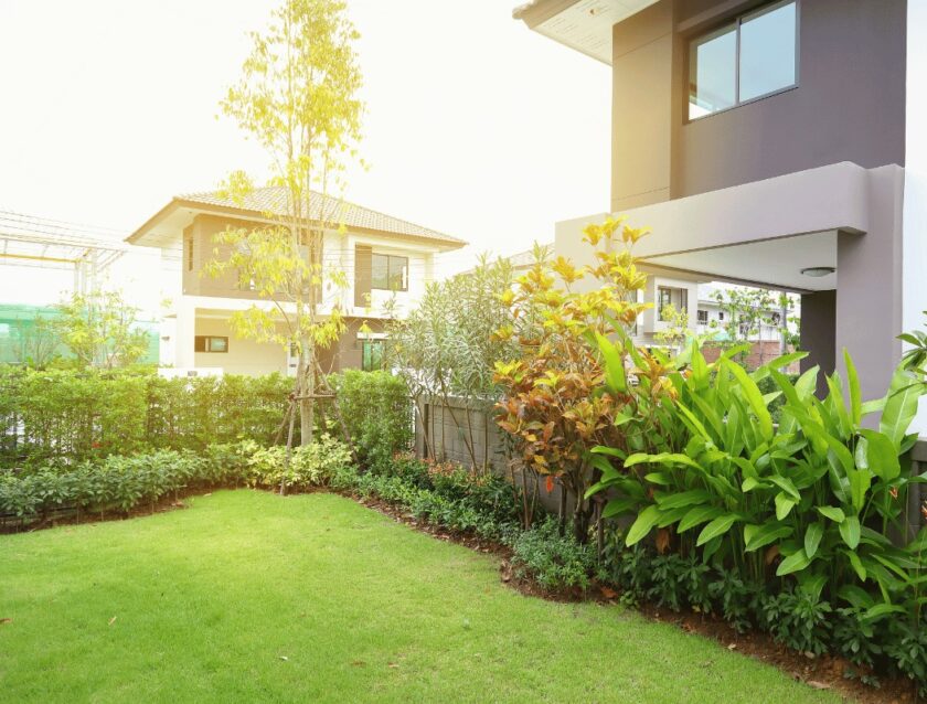 Landscaping And Lawn Care Services In Nigeria